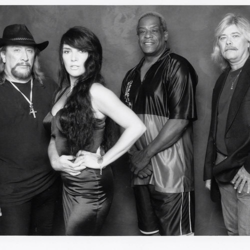 Stream ONCE IN A LIFETIME by Ron Johnston | Listen online for free on ...