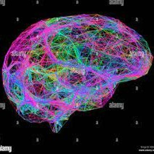 Stream Mapping The Human Brain: The New Frontier by Manuel Guerrero ... Stream Mapping The Human Brain: The New Frontier by Manuel Guerrero ...