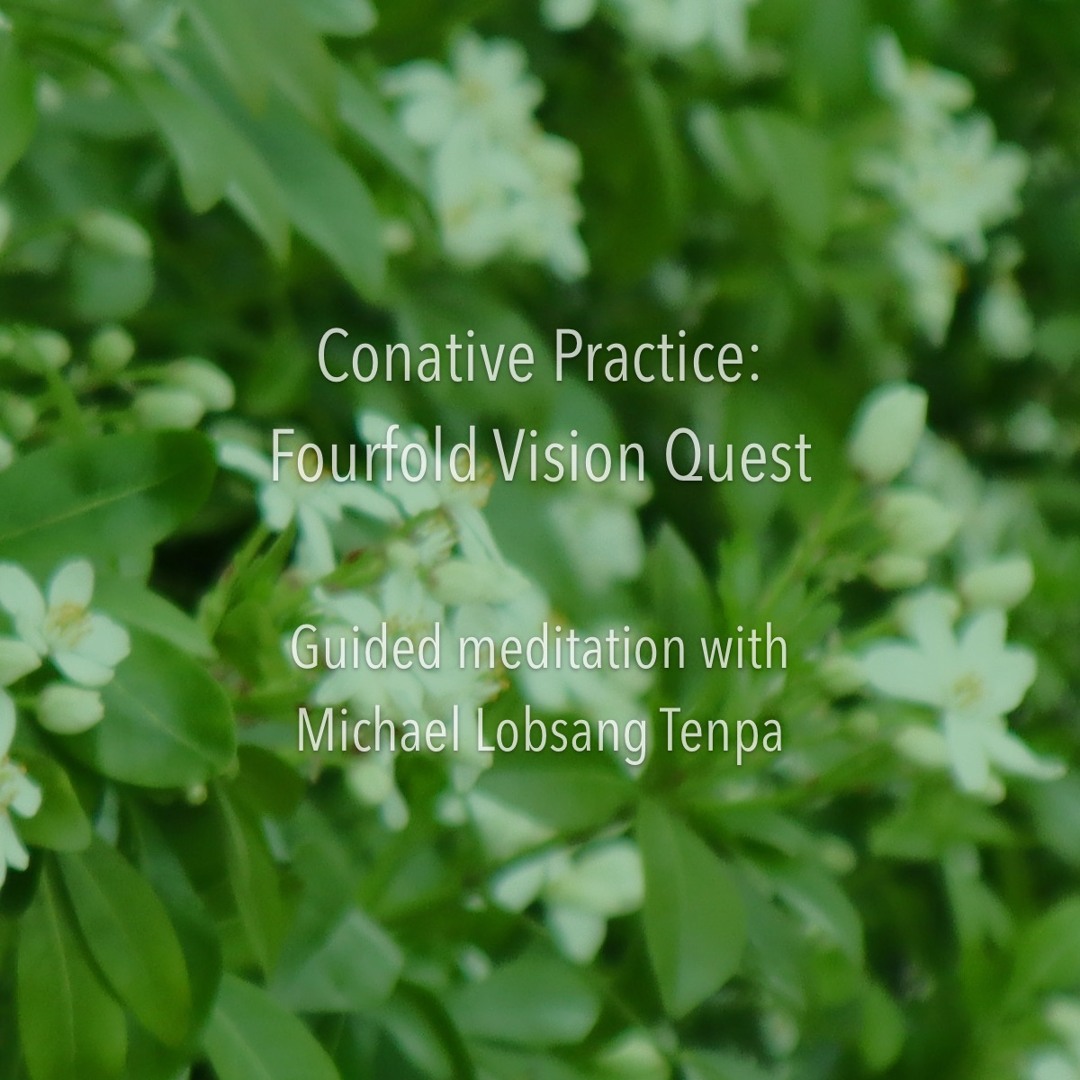 Stream Conative Practice: Fourfold Vision Quest | Guided meditation by ...