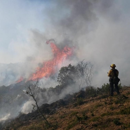 Stream Calfire Mendocino Discusses Recent Fires, Drought's Effect on ...