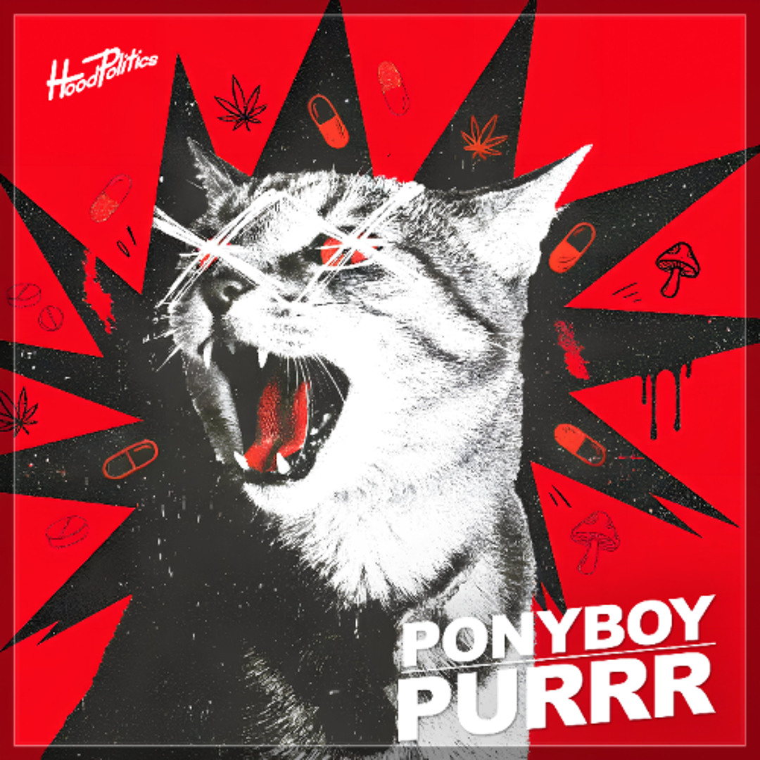 Stream Ponyboy - Purrr [HP310] by Hood Politics Records | Listen online ...