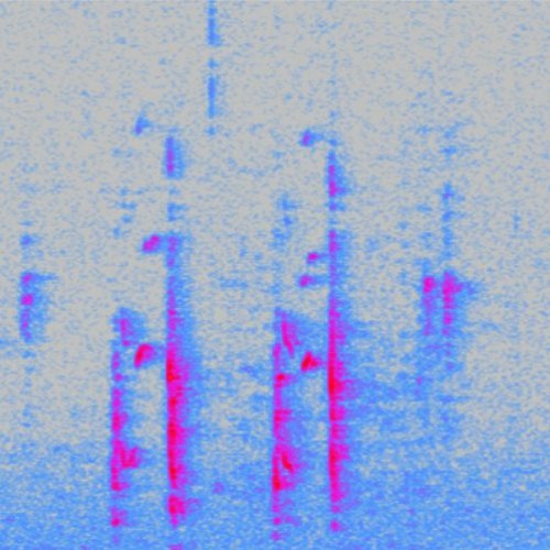 Stream Slechtvalk by William Visser | Listen online for free on SoundCloud