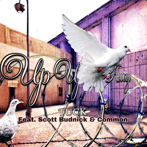 Stream Up up and Away Introduction (ft. Scott Budnick x Common) by Tucx ...