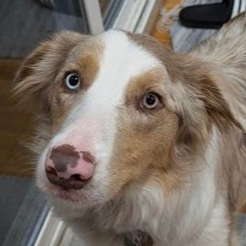 Stream Kyber by Captain Roth | Listen online for free on SoundCloud