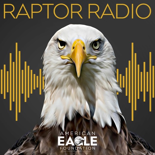 Stream episode Episode 5 "Let's Talk About Wings of America" by Raptor Radio: American Eagle ...