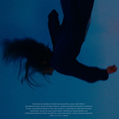 Anberlin New Surrender Deluxe