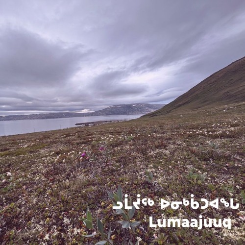 Stream ᓗᒫᔫᖅ ᐅᓂᒃᑳᑐᐊᖓ | Lumaajuuq by AAQSIIQ Theatre | Listen online for ...