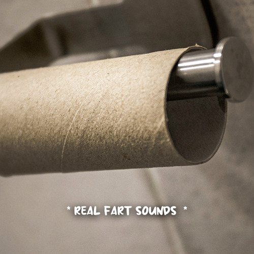 Stream Fart Sound Effect | Listen to * real fart sounds * playlist ...