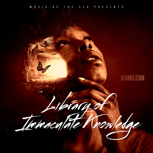 Stream Library of Immaculate Knowledge (Ver. 2) by Kamileon | Listen online for free on SoundCloud