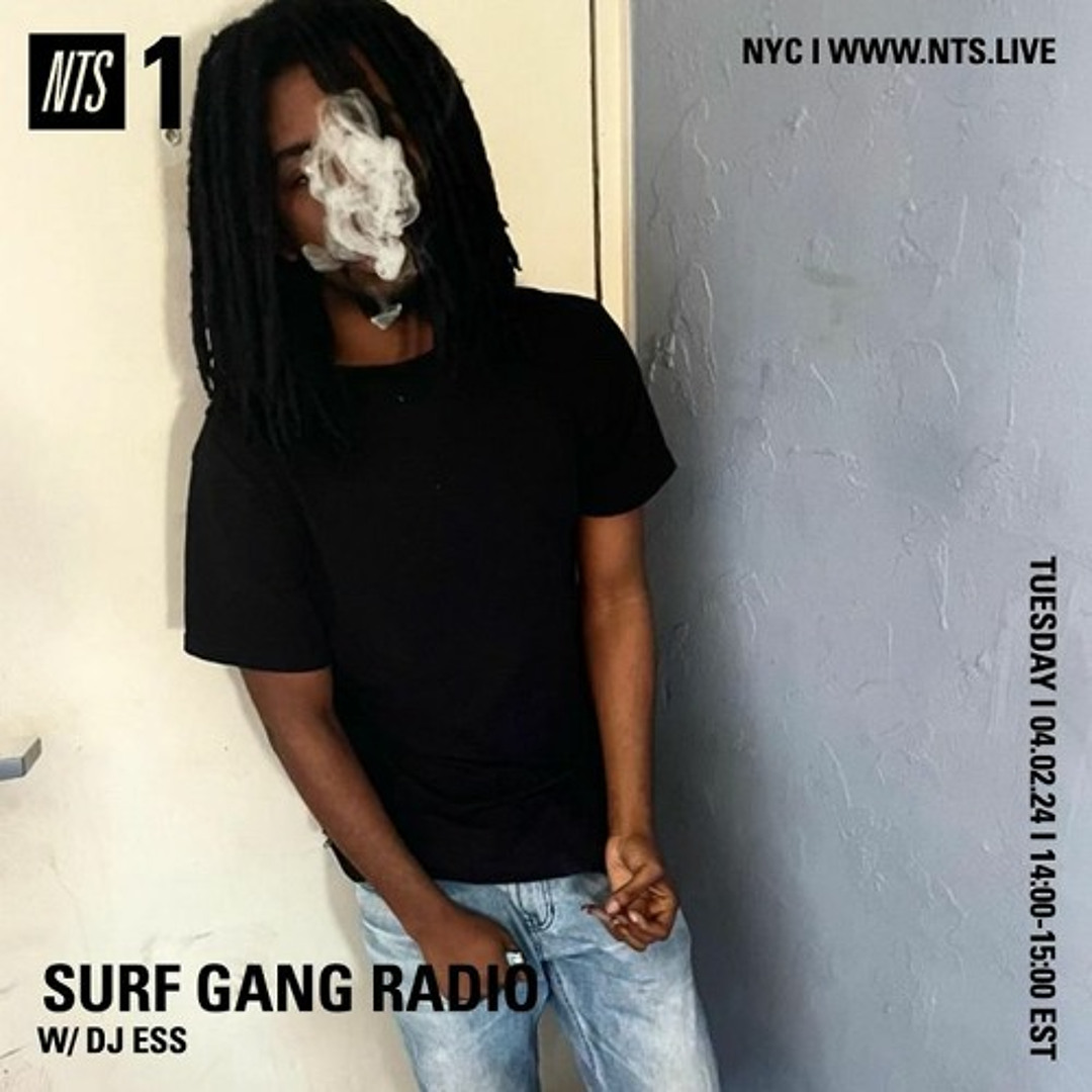 Stream NTS SURF GANG RADIO W/ DJ ESS by surf gang | Listen online for ...
