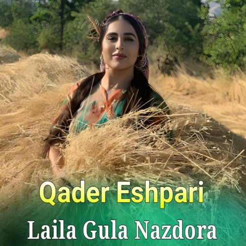 Stream Qader Eshpari | Listen to Laila Gula Nazdora playlist online for ...