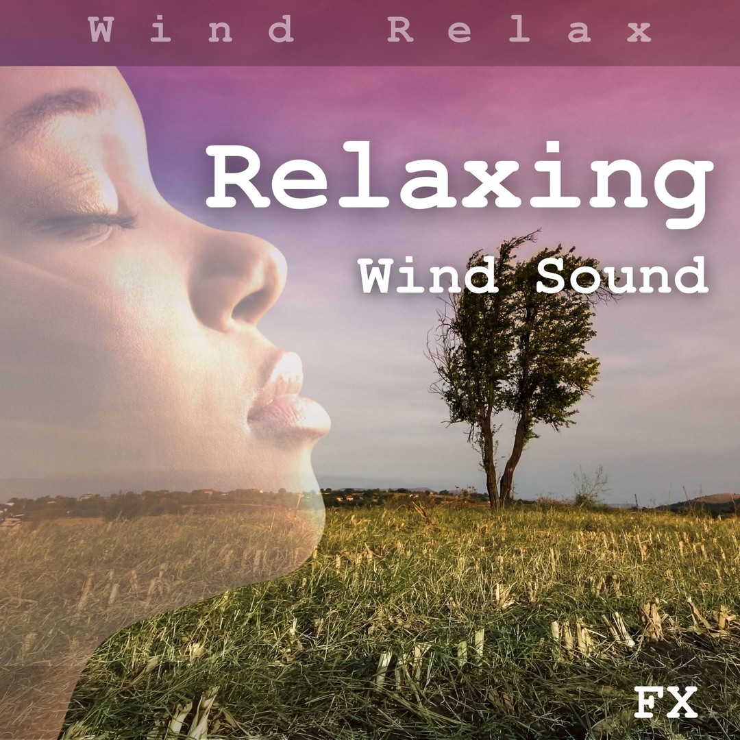 Stream Relaxation | Listen to Relaxing Wind Sound FX playlist online ...