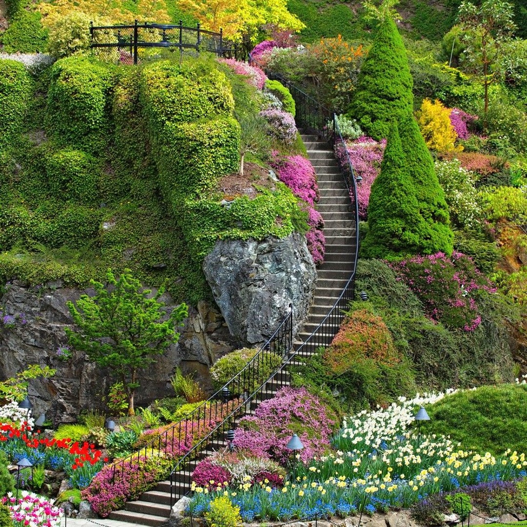 Stream lady gaga, bradley cooper - shallow (a star is born) slower ...