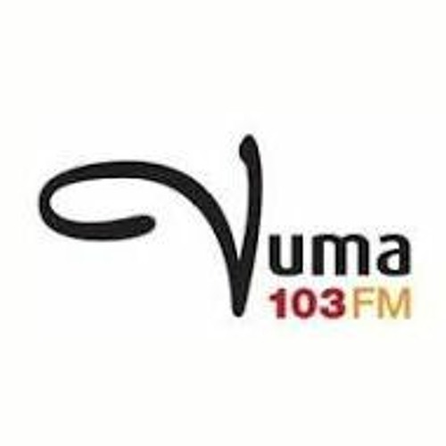 Stream Vuma FM Interview by US Embassy South Africa | Listen online for ...