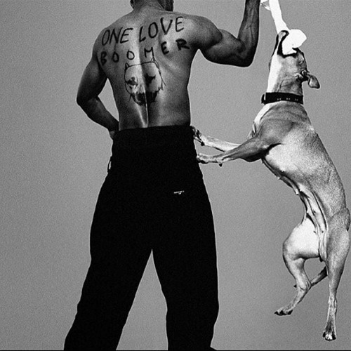 Pitbull Boomer Dmx DMX Grand Champ Dog Intro [R.I.P. KING] YouTube
