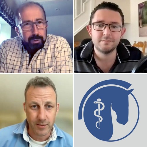 Stream Ep 73: Huw Griffiths and David Rendle on BEVA Congress 2022 by ...