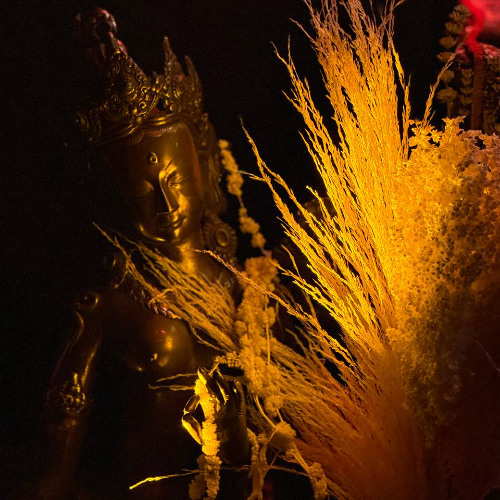 Stream Dark Sun Rising 🌑☀️🌘 ~ 🌛BETA EVENT🌜 March 29/2025 by Tata Leban ...