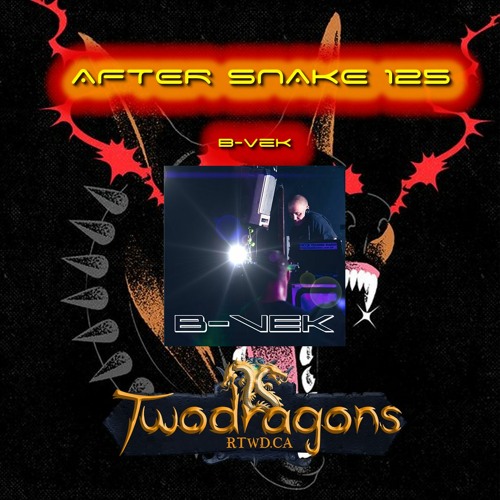 Stream AFTER SNAKE 125 "Guest Mix Techno By B-Vek" Radio TwoDragons 20. ...