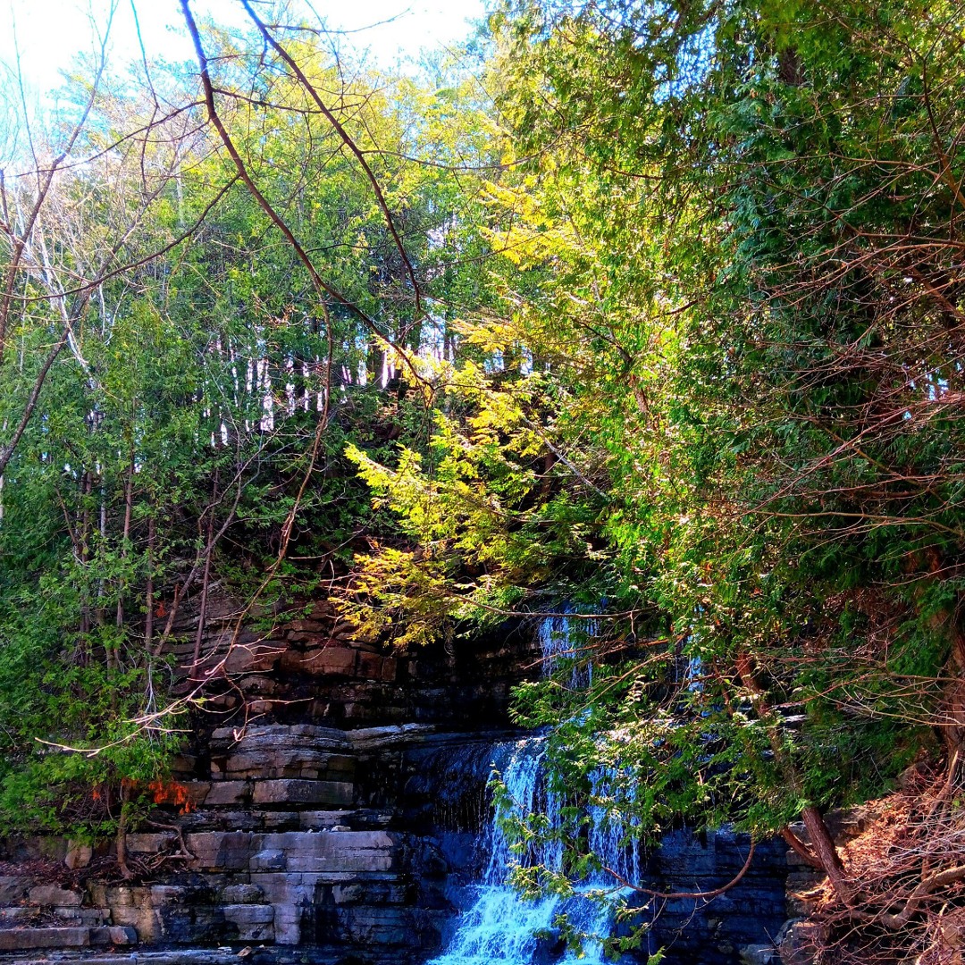 Stream Benedict Chapron | Listen to Jersey Bounce 🏖 playlist online for ...