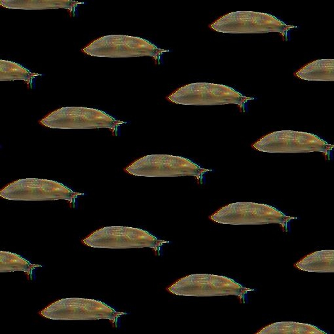 Stream Slug Walk by Gunnit | Listen online for free on SoundCloud