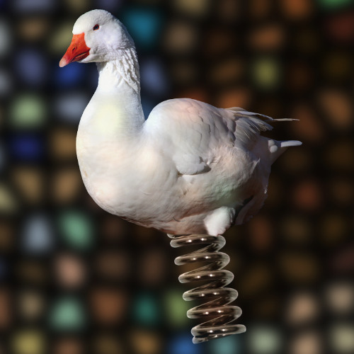 Stream happy piano by Spring Goose | Listen online for free on SoundCloud