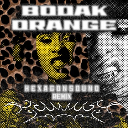 Stream Premiere: Cardi B - Bodak Orange (HexagonSound Remix) [Free Download] by Techno Wereld ...