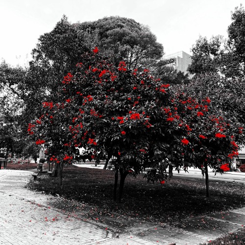 Stream KrisiV -Baes House Vol 7 (Sometimes I Feel) by KrisiV-NYTN ...