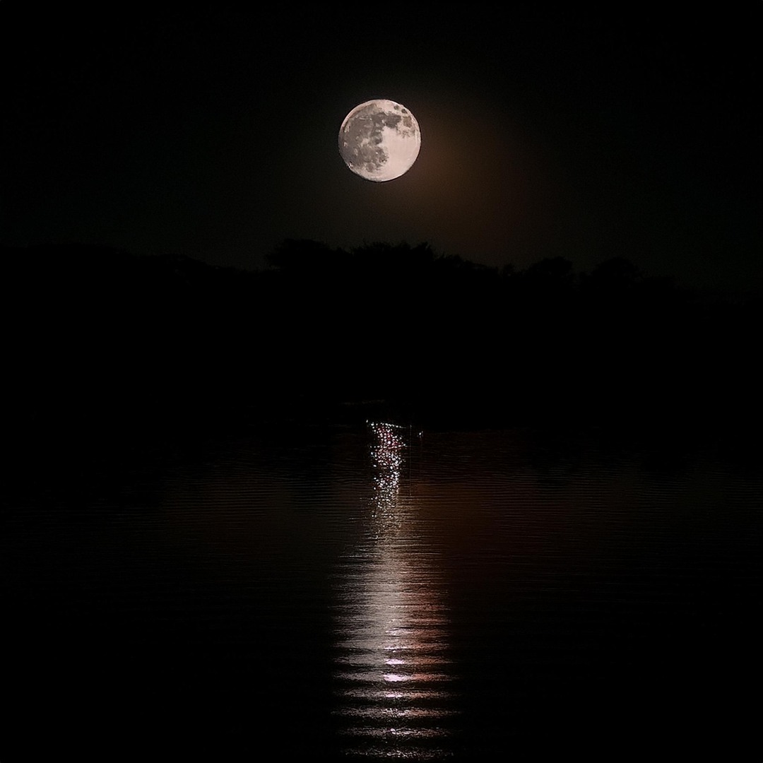 Stream Glokk40spaz x pinkpantheress [buijy] by buijy | Listen online ...