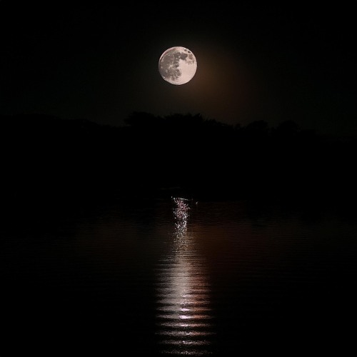 Stream Glokk40spaz x pinkpantheress [buijy] by buijy | Listen online ...