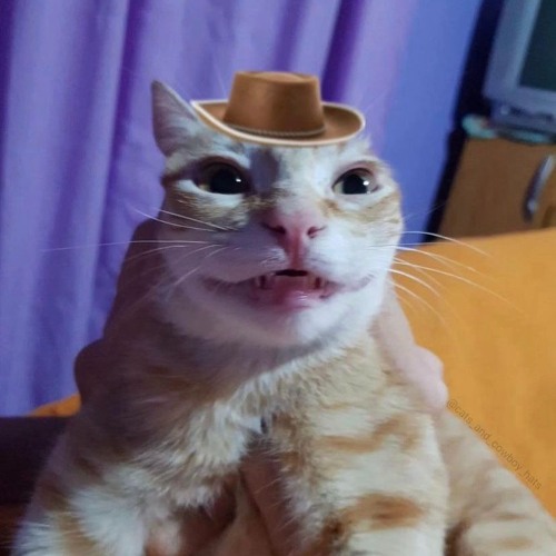 Stream serious inquiries only (ft. yimb0) by gum | Listen online for ...