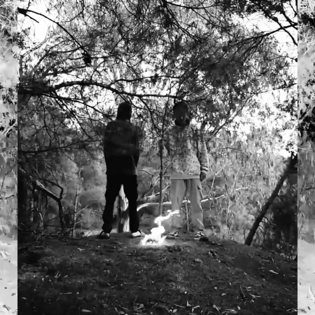 Stream ZAMAIKA - Roots Fall Official by ZAMAIKA | Listen online for ...