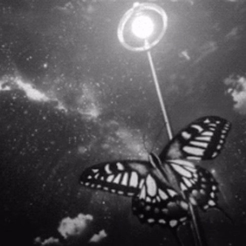 Stream could have been your butterfly by Brooklyn Biagi | Listen online ...