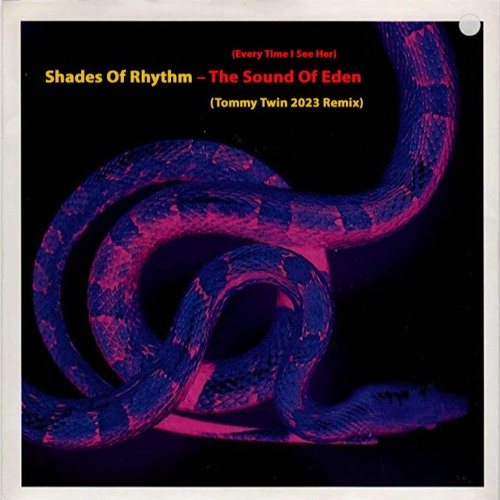 Stream Shades of Rhythm - Sound Of Eden (Tommy Twin 2023 Remix) by ...