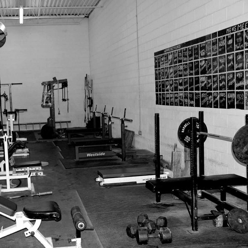 Stream welcome2paradise - Rich Piana X Louis Simmons X TrenTwins X TREN ...