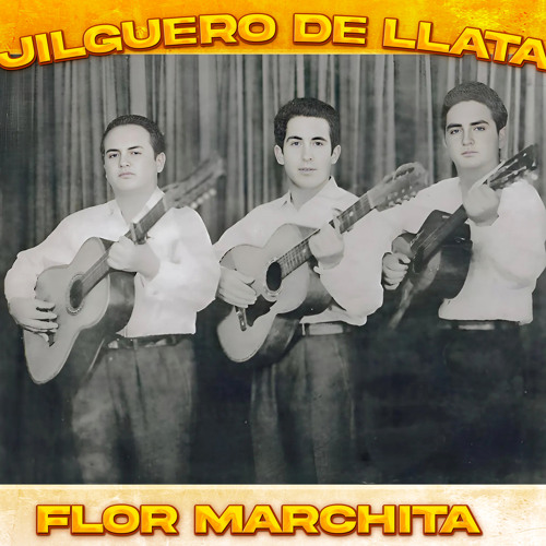 Stream Ocho Libras Mal Gastados by Arturo Reyes Rosales | Listen online ...
