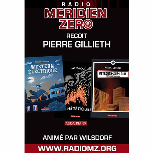 Stream Les entretiens de Méridien Zéro : "Discussion avec Pierre ...