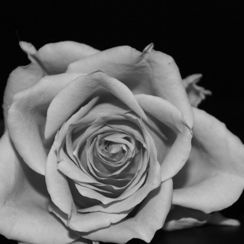 Stream KCLR Live: The Family of the late Peadar Doyle Pay Tribute by ...