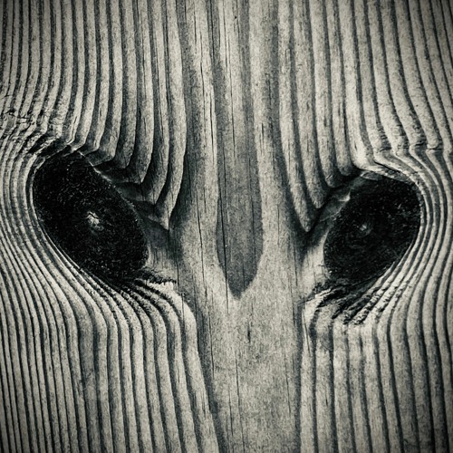 Stream Implementation Plans by Shay Oren | Listen online for free on ...