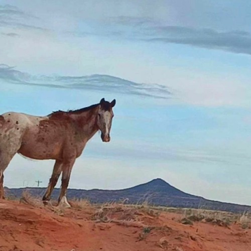 Stream What Happened To You My Friend by The Nick Clemons Band | Listen ...