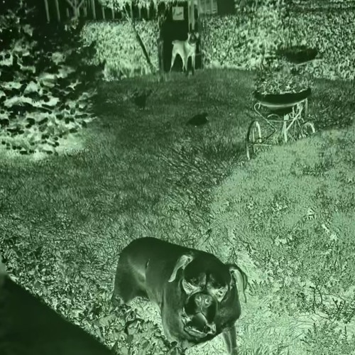 Stream FOLIE by Lune/\G | Listen online for free on SoundCloud