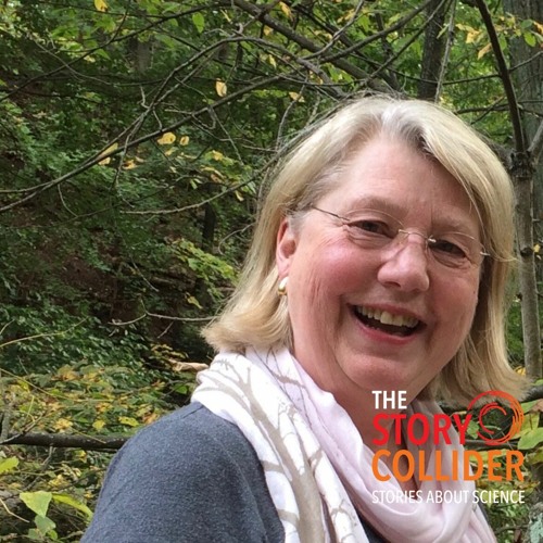 Stream episode Mary Sue Kitchen: Lessons From the Past by The Story ...