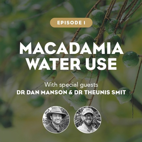 Stream episode AMS Podcast Episode 1: Macadamia water use by Australian ...