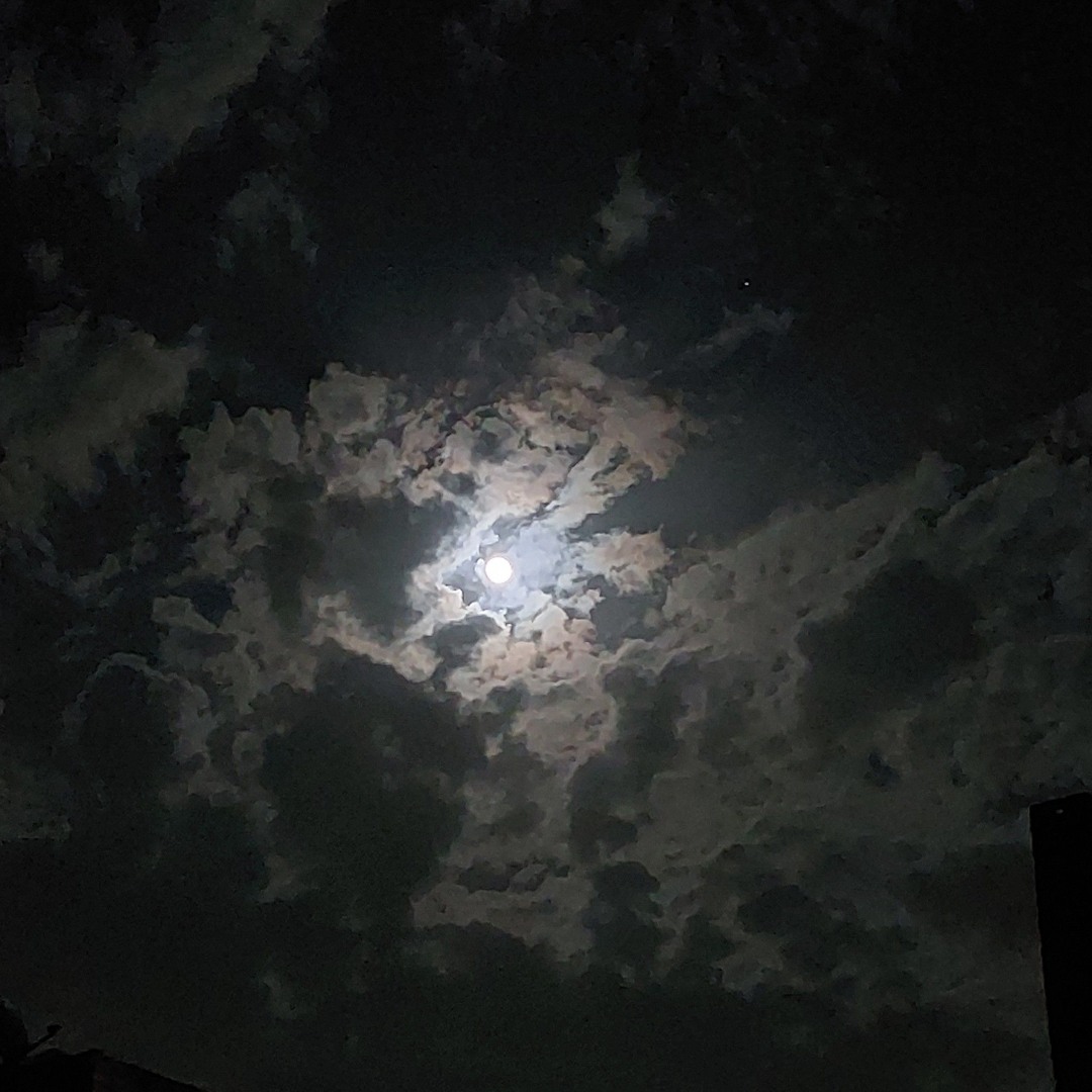 Stream Fatma Hesham | Listen to ما يخفف عني حمل الليالي playlist online ...