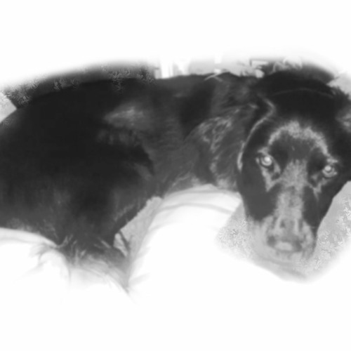 Stream Cruel Pedrada (Raptil - Prod. Dejavu) by Raptil One | Listen ...