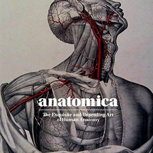Stream )+ Anatomica, The Exquisite and Unsettling Art of Human Anatomy ...