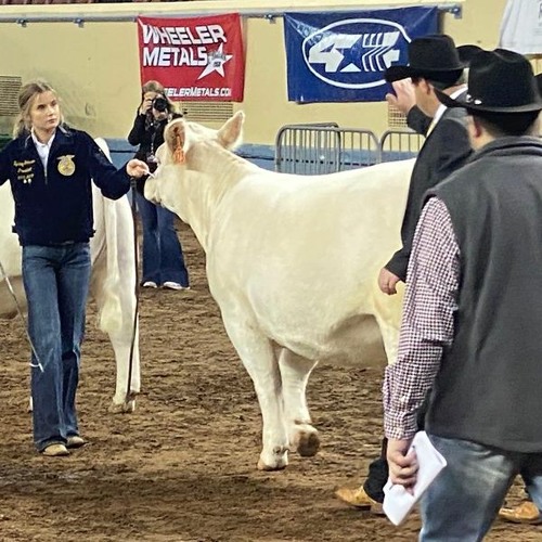 Stream Episode 27- Reliving the 2020 OYE- Tyler Norvell, Kass Newell ...