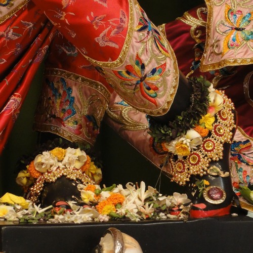 Stream Gopa Kumar's Commitment to Receive the Fullness of his Guru's ...