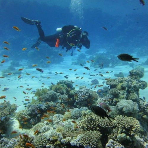 Stream Asme Var Har Du Vart | Listen to rojdestvolyq jyltyr ...