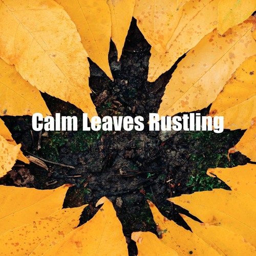Stream Nature Sounds XLE Library | Listen to Calm Leaves Rustling ...