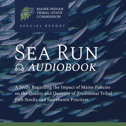 Stream 001 SEA RUN: Opening Credits from MITSC Tributaries | Listen ...